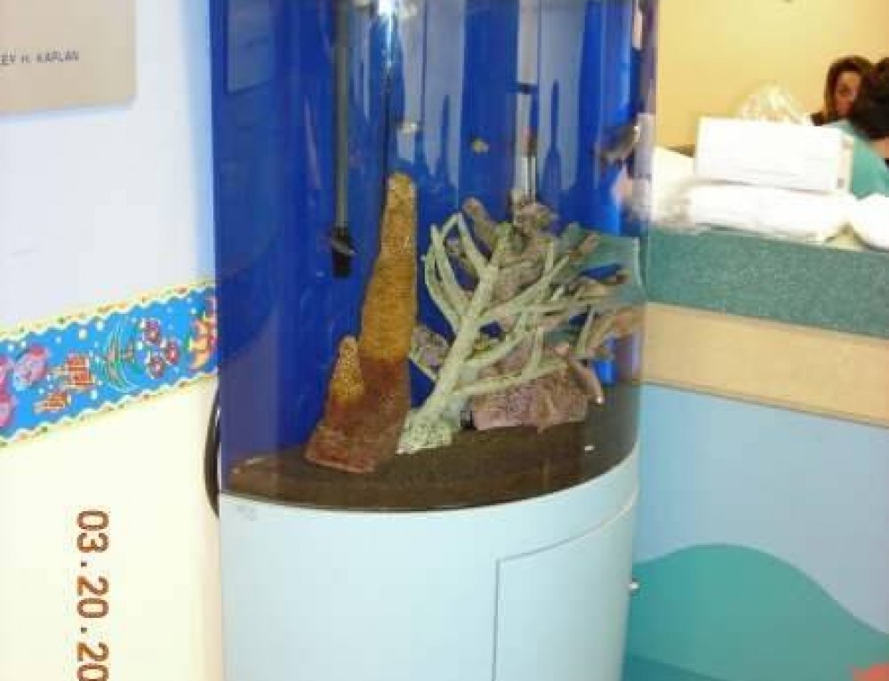 Choosing your aquarium Part 2 - Custom Aquarium shapes and sizes ...