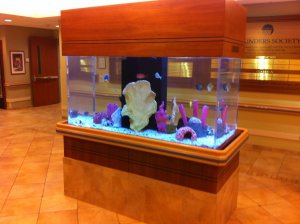 Choosing your aquarium Part 2 - Custom Aquarium shapes and sizes ...