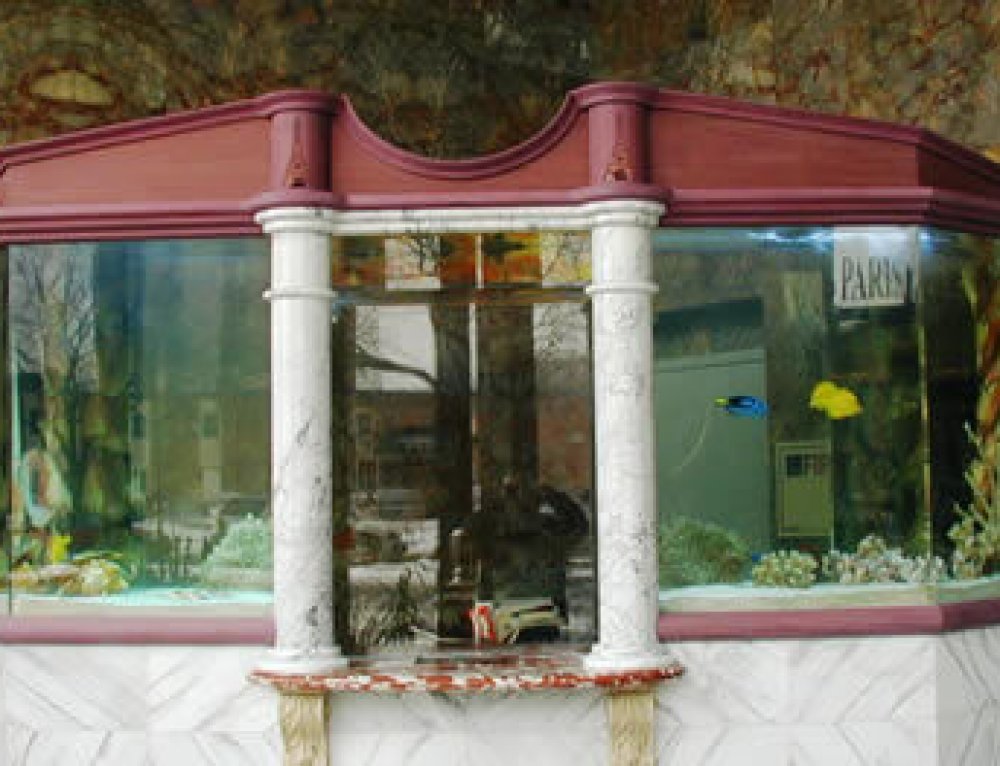 360 Gallon See-Through Aquarium – Aquarium Network – Custom Aquariums