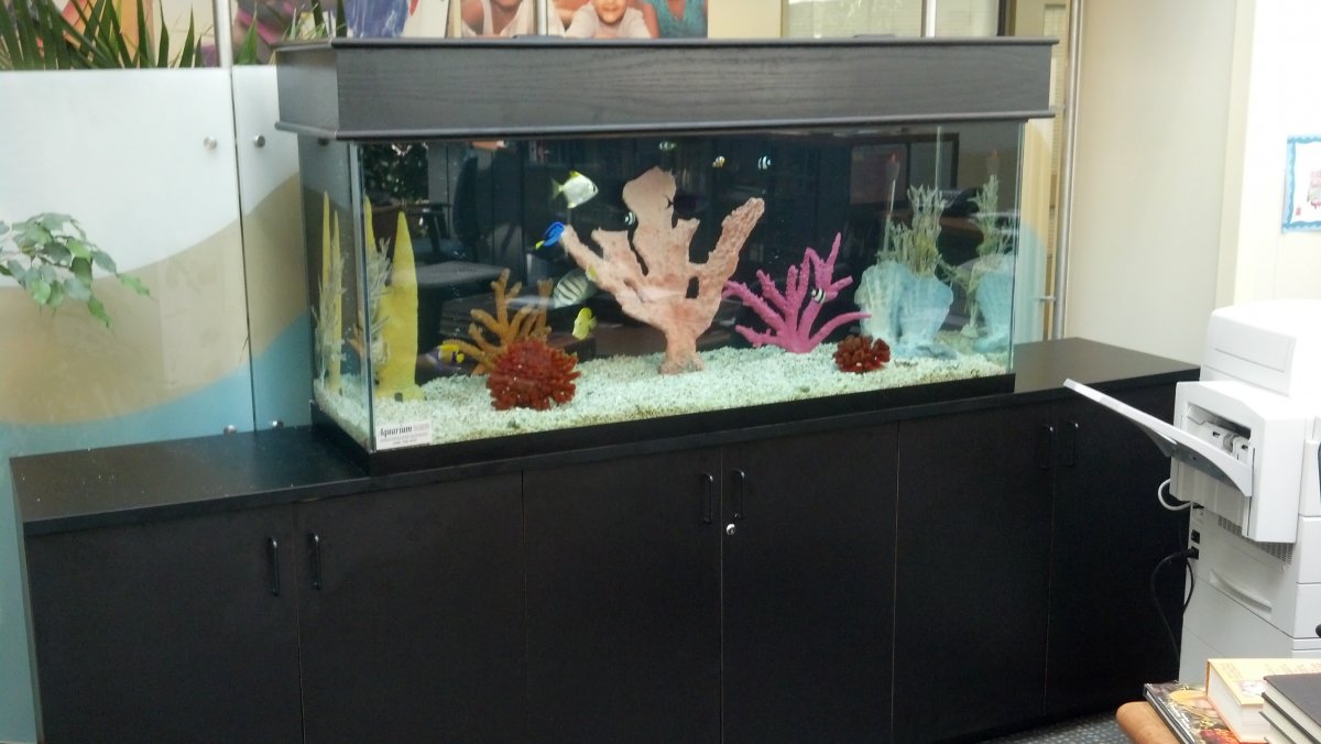 Custom Aquariums for Hospitals – Stress Relief & Patient Comfort ...