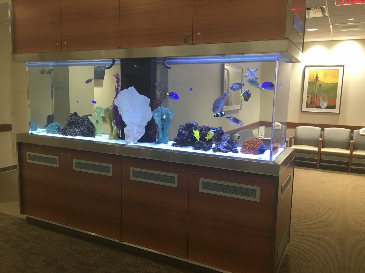 Custom Aquariums for Hospitals – Stress Relief & Patient Comfort ...