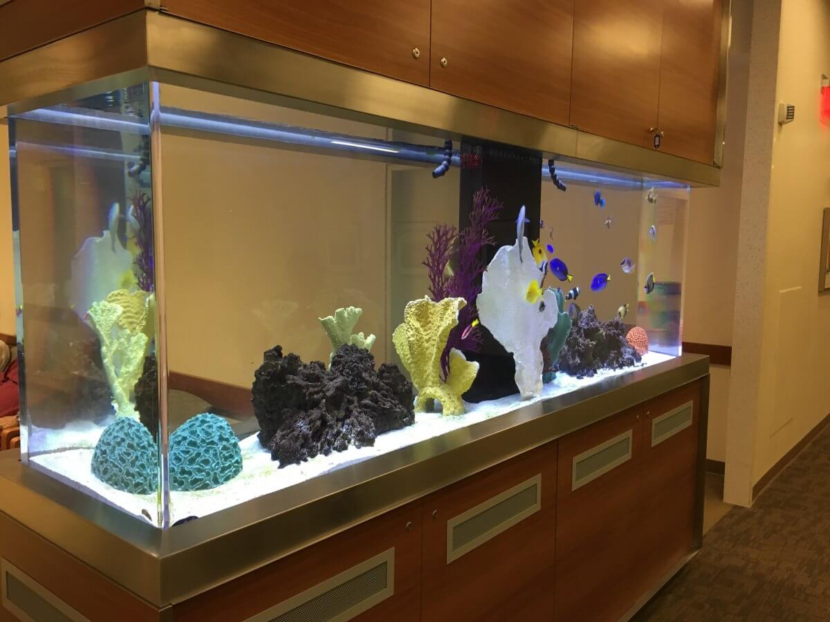 Custom Aquariums for Hospitals – Stress Relief & Patient Comfort ...