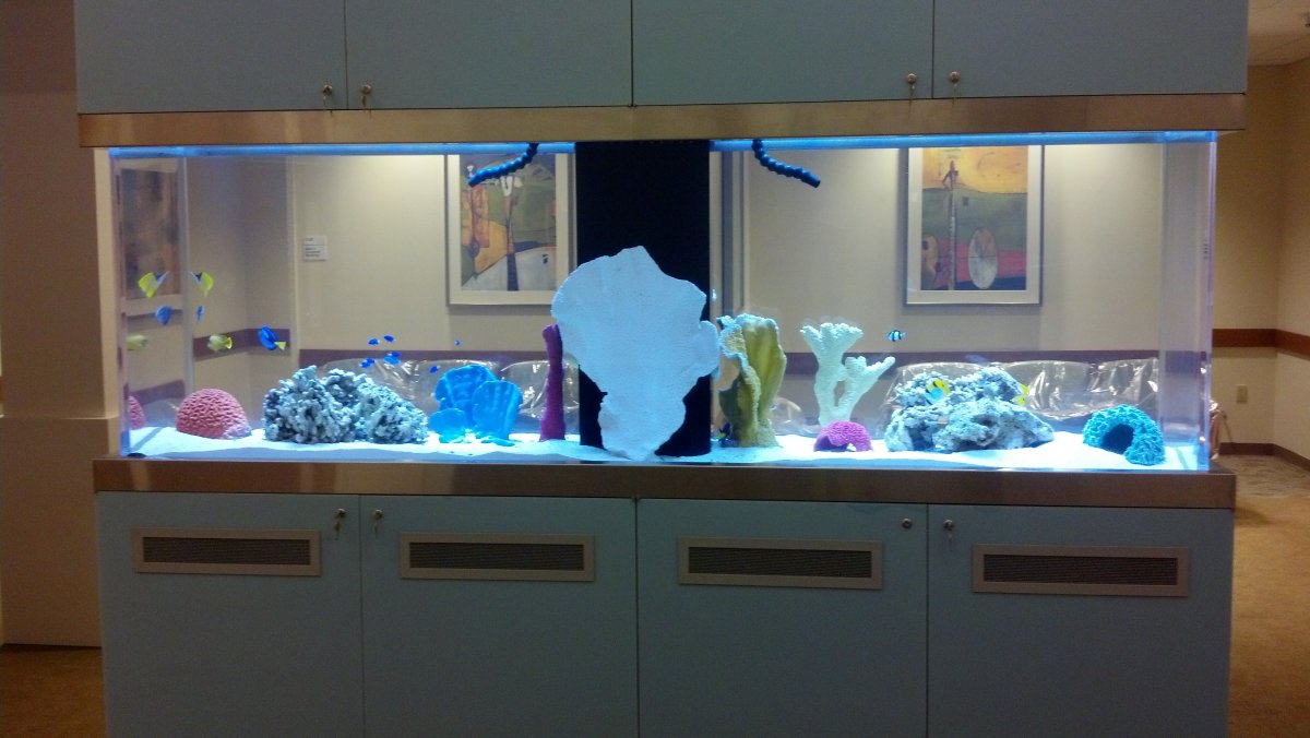 Custom Aquariums for Hospitals – Stress Relief & Patient Comfort ...