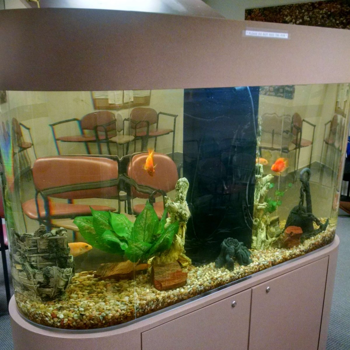 Custom Aquariums for Hospitals – Stress Relief & Patient Comfort ...
